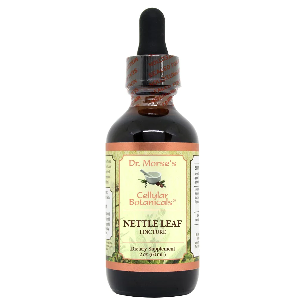 Nettle | REVIVE Bring Life Back to Life